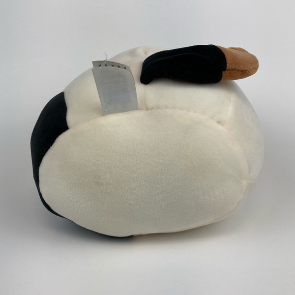 Kellytoy | Toys | Squishmallow Kellytoy Cameron Cam The Calico Cat 9 ...